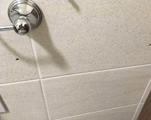 Ceramic Tile Repairs